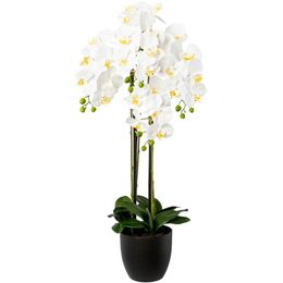 Kunstorchidee Creativ green "Phalaenopsis im Resintopf", weiß, H:99cm, Obermaterial: 100% Polyethylen, Kunstpflanzen, mit Real-Touch-Blüten