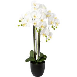 Kunstorchidee Creativ green "Phalaenopsis im Resintopf", weiß, H:83cm, Obermaterial: 100% Polyethylen, Kunstpflanzen, mit Real-Touch-Blüten