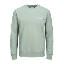 Jack & Jones Jack & Jones Sweatshirt 'JJEBradley' Herren Gr&ouml;&szlig;e XS limette / pastellgr&uuml;n / wei&szlig;