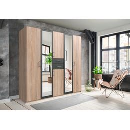 Kleiderschrank wimex "Diver Drehtürenschrank mit Spiegel, Schubladen, 225 oder 270cm breit", grau (struktureichefarben hell, graphit), B:225cm H:207cm T:58cm, Schränke, Bestseller Schlafzimmerschrank wahlweise 3 Innenausstattungen