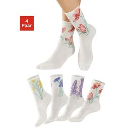 Lascana Basicsocken braun Gr. 35-38 für Damen. Mit Logoschriftzug. Elastisch. Nachhaltig.