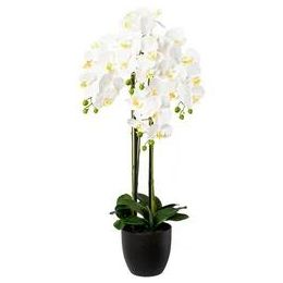 Kunstorchidee Creativ green "Phalaenopsis im Resintopf", weiß, H:99cm, Obermaterial: 100% Polyethylen, Kunstpflanzen, mit Real-Touch-Blüten