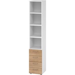 eurokraft pro Regalschrank, 3 Fachböden / 4 Schubladen, weiß / Nussbaum