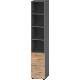 eurokraft pro Regalschrank, 3 Fachböden / 4 Schubladen, graphit / Nussbaum