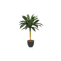 hjh OFFICE Kunstpflanze DRACAENA I Kunststoff