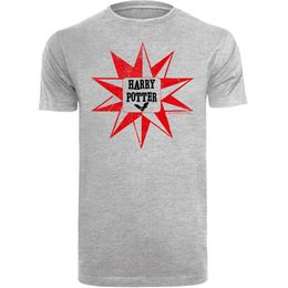 F4NT4STIC Shirt 'Harry Potter Hedwig Star' male Grey size XXXL