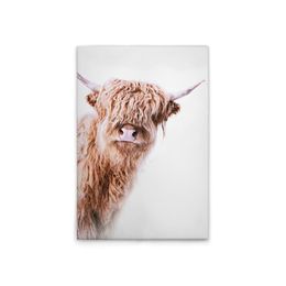 A.S. Création Leinwandbild A.S. CRÉATION "Highland Cattle 2 - Wandbild Weiß Braun Keilrahmen Kunst", braun, T:2cm, Canvas, Bilder, Canvas Tiere Leinwand Kuh Wandkunst Schlafzimmer Tiere Basic Büro