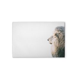 A.S. Création Leinwandbild A.S. CRÉATION "Lion In Snow - Wandbild Weiß Creme Beige Keilrahmen Kunst", braun, T:2cm, Canvas, Bilder, Canvas Tiere Leinwand Löwe Wandkunst Schlafzimmer Tiere Basic Büro