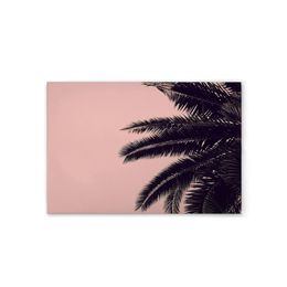 A.S. Création Leinwandbild A.S. CRÉATION "Palm Tree - Wandbild Rosa Schwarz Keilrahmen Kunst modern", braun, T:2cm, Canvas, Bilder, Canvas Palmenblätter Leinwand Rosa Wandkunst Schlafzimmer Natur Modern