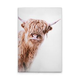 A.S. Création Leinwandbild A.S. CRÉATION "Highland Cattle 2 - Wandbild Weiß Braun Keilrahmen Kunst", braun, T:2cm, Canvas, Bilder, Canvas Tiere Leinwand Kuh Wandkunst Schlafzimmer Tiere Basic Büro