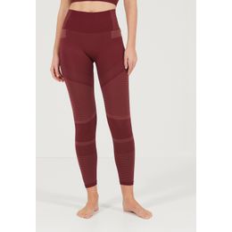 ENDURANCE ATHLECIA Lauftights ATHLECIA "SEMARAN SEAMLESS", Damen, Gr. L/XL, US-Größen, rot (bordeaux), 65% Polyamid, 27% Polyester, 8% Elasthan, mehrfarbig, sportlich, lang, Hosen, mit extra hohem Komfort