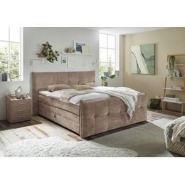 Boxspringbett ED EXCITING DESIGN "Gallina", grau (taupe), B:205cm L:234cm, 100% Polyester, Komplettbetten, mit Bettkasten, inkl. Topper