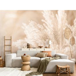Bilderwelten Fototapete Zartes Pampasgras Sonnenlicht Wohnzimmer Schlafzimmer Flur Bad K&uuml;che Esszimmer Vliestapete Gr&auml;ser modern