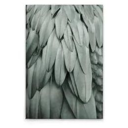 A.S. Création Leinwandbild A.S. CRÉATION "Feathers 2 - Wandbild Blau Grau Keilrahmen Federn modern", blau (braun), T:2cm, Canvas, Bilder, Canvas Federn Leinwand Modern Wandkunst Schlafzimmer Tiere Glamour