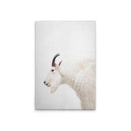 A.S. Création Leinwandbild A.S. CRÉATION "Mountain Goat - Wandbild Weiß Creme Keilrahmen Kunst", braun, T:2cm, Canvas, Bilder, Canvas Tiere Leinwand Ziege Wandkunst Schlafzimmer Tiere Basic Büro