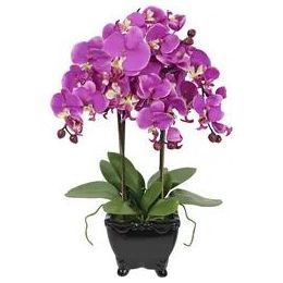 Kunstblume I.GE.A. "Künstliche Orchidee in Schale Phalaenopsis Kunstblume Blume", rosa (dunkelrosa), B:20cm H:60cm L:18cm, Polyester, Kunstpflanzen, Kunstorchidee Deko Dekoblume Seidenblume