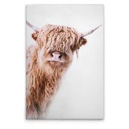 A.S. Création Leinwandbild A.S. CRÉATION "Highland Cattle 2 - Wandbild Weiß Braun Keilrahmen Kunst", braun, T:2cm, Canvas, Bilder, Canvas Tiere Leinwand Kuh Wandkunst Schlafzimmer Tiere Basic Büro