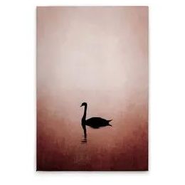 A.S. Création Leinwandbild A.S. CRÉATION "Swan Lake - Wandbild Rosa Schwarz Keilrahmen Kunst modern", braun, T:2cm, Canvas, Bilder, Canvas Schwan Leinwand Rosa Wandkunst Schlafzimmer Rot Tiere Modern