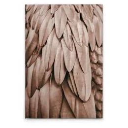 A.S. Création Leinwandbild A.S. CRÉATION "Feathers 1 - Wandbild Rosa Beige Keilrahmen Kunst modern", rosa (braun), T:2cm, Canvas, Bilder, Canvas Federn Leinwand Rosa Wandkunst Schlafzimmer Tiere Glamour Deko