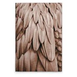 A.S. Création Leinwandbild A.S. CRÉATION "Feathers 1 - Wandbild Rosa Beige Keilrahmen Kunst modern", rosa (braun), T:2cm, Canvas, Bilder, Canvas Federn Leinwand Rosa Wandkunst Schlafzimmer Tiere Glamour Deko