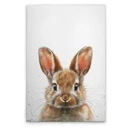 A.S. Création Leinwandbild A.S. CRÉATION "Brown Baby Bunny - Wandbild Weiß Braun Keilrahmen Kunst", braun, T:2cm, Canvas, Bilder, Canvas Baby Leinwand Hase Wandkunst Schlafzimmer Kinderzimmer Tiere