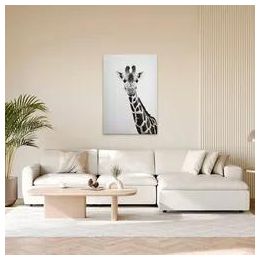 A.S. Création Leinwandbild A.S. CRÉATION "Giraffe Portrait - Wandbild Schwarz Weiß Keilrahmen Kunst", braun, T:2cm, Canvas, Bilder, Canvas Tiere Leinwand Giraffe Wandkunst Schlafzimmer Tiere Basic Deko