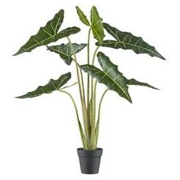 Kunstpflanze Creativ green "Alocasia zebrina sarian", grün, H:100cm, Kunststoff, Kunstpflanzen, mit gestreiftem Stamm