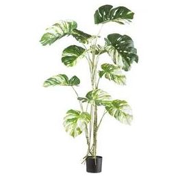 Kunstbaum Creativ green "Monstera deliciosa variegata", grün (grünweiß), H:160cm, Kunststoff, Kunstpflanzen, mit grün-weißen Blättern