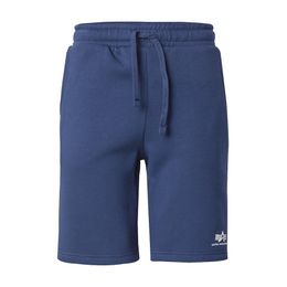 Alpha Industries Pants male Blue size XS