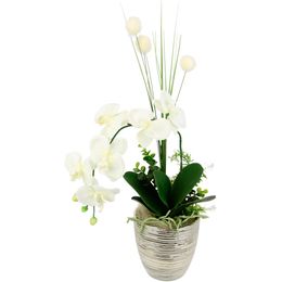 Kunstblume I.GE.A., B:25cm H:60cm L:16cm, beige, Kunstpflanzen, "Arrangement Orchidee/Gras", Topf aus Keramik