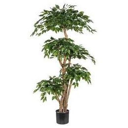 Kunstpflanze Creativ green "Ficus Benjamini", grün, B:110cm H:170cm, Kunststoff, Kunstpflanzen