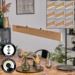 hofstein Fugelsta Pendelleuchte LED Schwarz, 1-flammig