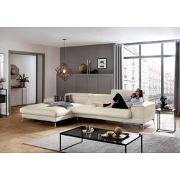 Ecksofa W.Schillig "piedroo, Designsofa mit tollem Sitzkomfort, elegant und bequem, L-Form", grau (eisgrau z59), B:343cm H:70cm T:193cm, Longlife Xtra-Leder Z59: Glattleder mit modischer Pr&auml;gung. Hautst&auml;rke 0, 9 - 1, 1 mm, Sofas, Ecksofa, Kopfteilverstellung, wahlweise mit Sitztiefenverstellung, Breite 343cm