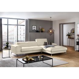 Ecksofa W.Schillig "piedroo, Designsofa mit tollem Sitzkomfort, bequem und elegant, L-Form", grau (eisgrau z59), B:303cm H:70cm T:193cm, Longlife Xtra-Leder Z59: Glattleder mit modischer Pr&auml;gung. Hautst&auml;rke 0, 9 - 1, 1 mm, Sofas, Ecksofa, Kopfteilverstellung, wahlweise mit Sitztiefenverstellung, Breite 303cm