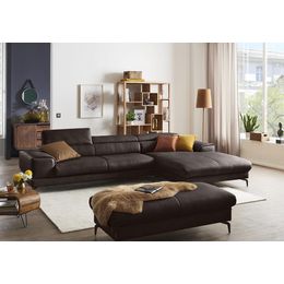Ecksofa W.Schillig "piedroo, Designsofa mit tollem Sitzkomfort, bequem und elegant, L-Form", braun (mocca z69), B:343cm H:70cm T:193cm, Longlife Xtra-Leder Z69: Das feinnarbige, gedeckte Softleder Z69 besticht durch seine au&szlig;ergew&ouml;hnliche Weichheit im trendigen &raquo;Vintage-Look&laquo;, Hautst&auml;rke 0, 9 - 1, 1 mm, Sofas, Ecksofa, Kopfteilverstellung, wahlweise mit Sitztiefenverstellung, Breite 343cm