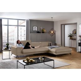 Ecksofa W.Schillig "piedroo, Designsofa mit tollem Sitzkomfort, bequem, L-Form", braun (stone z59), B:343cm H:70cm T:193cm, Longlife Xtra-Leder Z59: Glattleder mit modischer Pr&auml;gung. Hautst&auml;rke 0, 9 - 1, 1 mm, Sofas, Ecksofa, Kopfteilverstellung, wahlweise mit Sitztiefenverstellung, Breite 343cm