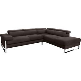 Ecksofa W.Schillig "finn, toller Sitzkomfort, L-Form, hochwertige Verarbeitungsdetails", braun (braun z59), B:281cm H:71cm T:230cm, Flachgewebe S22 (100% Polyester);Stoff S37 (100% Polyester);Longlife Xtra-Leder Z59: Glattleder mit modischer Pr&auml;gung. Hautst&auml;rke 0, 9 - 1, 1 mm, Sofas, Ecksofa, German Design Award 2016, Fu&szlig;gestell Chrom gl&auml;nzend, Breite 281 cm