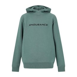 Sweatshirt Endurance "Glakrum", Herren, Gr. 116, grün, 100% Polyester, bedruckt, sportlich, normal, ohne Ausschnitt, Langarm, Sweatshirts, mit sportlichem Markenprint