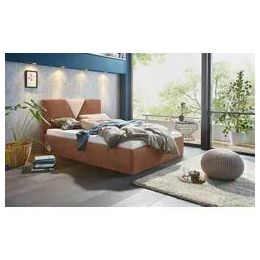 Polsterbett "Malibu", braun (braun, beige), B:152cm L:212cm, Bezug Bett: Microfaser (100% Polyester), Bonnell-Federkernmatratze: 51% Polypropylen, 39% Polyester und 10% Baumwolle, Kaltschaummatratze: 100% Polyester, Bezug abnehm- und waschbar bis 60u00b0C, Westfalia Schlafkomfort, Betten, inkl. Bettkasten bei Ausführung mit Matratze