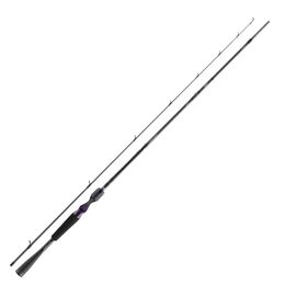 Daiwa Prorex AGS BC 2.40m 120g Baitcast-Rute