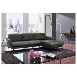 Ecksofa W.Schillig "softy, toller Sitzkomfort, L-Form", grau (anthrazit r66), B:265cm H:79cm T:168cm, Chenille-Flachgewebe R66 (85% Polyester, 15% Nylon), Velourgewebe V41 (100% Polyester), Longlife Xtra-Leder Z59: Glattleder mit modischer Prägung. Hautstärke 0, 9 - 1, 1 mm, Sofas, mit dekorativer Heftung im Sitz, Füße schwarz pulverbeschichtet