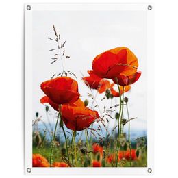 Poster Reinders, B:60cm H:80cm T:0,1cm, rot, Leinwand, Bilder, "Mohnblumen", Outdoor f&uuml;r Garten oder Balkon