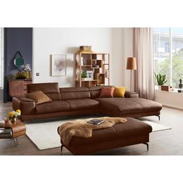 Ecksofa W.Schillig, B:343cm H:70cm T:193cm, braun, Longlife Xtra-Leder Z69: Das feinnarbige, gedeckte Softleder Z69 besticht durch seine