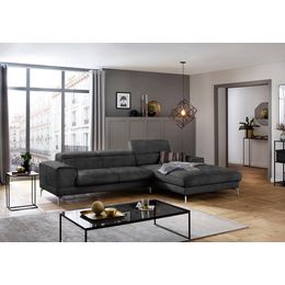 Ecksofa W.Schillig, B:303cm H:70cm T:193cm, grau, Stoff S37 (100% Polyester): Luxus-Microfaser in Lederoptik, Wohnzimmer, Sofas, "piedroo, Designsofa