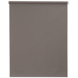 Seitenzugrollo SUNLINES, B:62cm H:180cm, grau, Polyester, Rollos, "Uni", 1 St&uuml;ck