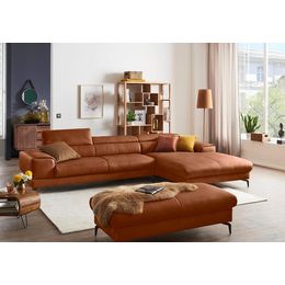 Ecksofa W.Schillig, B:343cm H:70cm T:193cm, braun, Longlife Xtra-Leder Z69: Das feinnarbige, gedeckte Softleder Z69 besticht durch seine