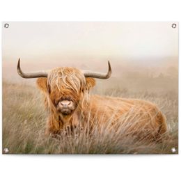 Poster Reinders, B:80cm H:60cm T:0,1cm, beige, Leinwand, Bilder, "Hochlandrind"
