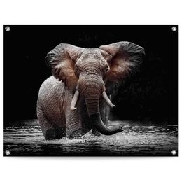 Poster Reinders, B:80cm H:60cm T:0,1cm, braun, Leinwand, Bilder, "Elefant", Outdoor f&uuml;r Garten oder Balkon