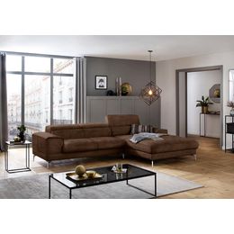 Ecksofa W.Schillig, B:303cm H:70cm T:193cm, braun, Stoff S37 (100% Polyester): Luxus-Microfaser in Lederoptik, Wohnzimmer, Sofas, "piedroo,