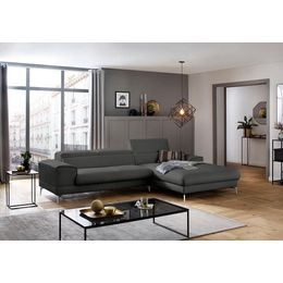 Ecksofa W.Schillig, B:303cm H:70cm T:193cm, grau, Longlife Xtra-Leder Z69: Das feinnarbige, gedeckte Softleder Z69 besticht durch seine
